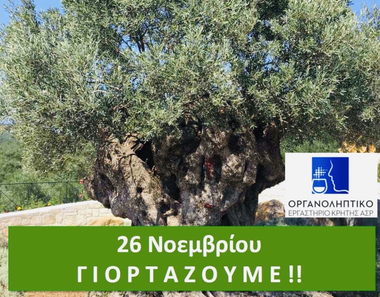 26 Νοεμβρίου: Εορτασμός ημέρας ελιάς και ελαιολάδου - Agro Creta News