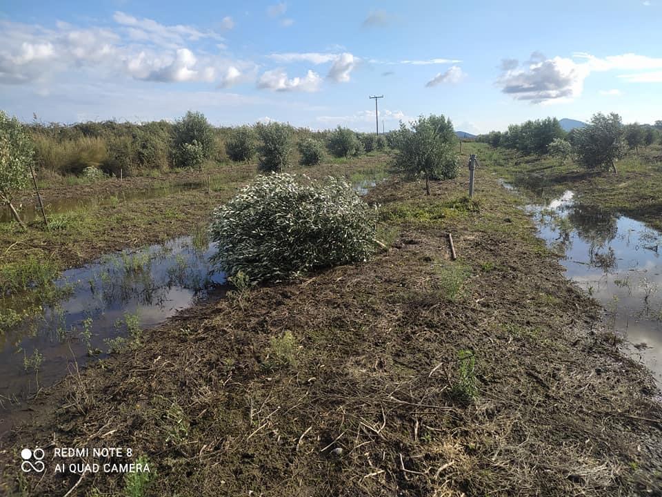 Σε περιόδους ακαρπίας να μην ζητάει εισφορά ο ΕΛΓΑ από τους παραγωγούς ...