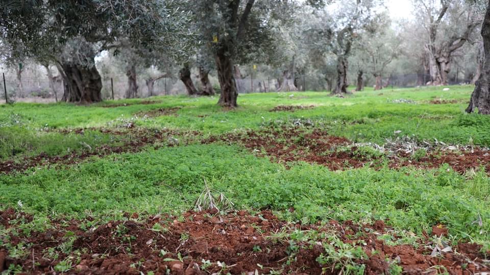 Ζητούνται δίκαιες αποζημιώσεις για τις πρόσφατες καταστροφές - Agro ...