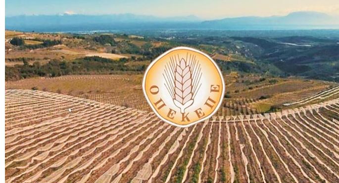 Οι εξηγήσεις του ΟΠΕΚΕΠΕ για την πληρωμή της ενιαίας ενίσχυσης, τα ...