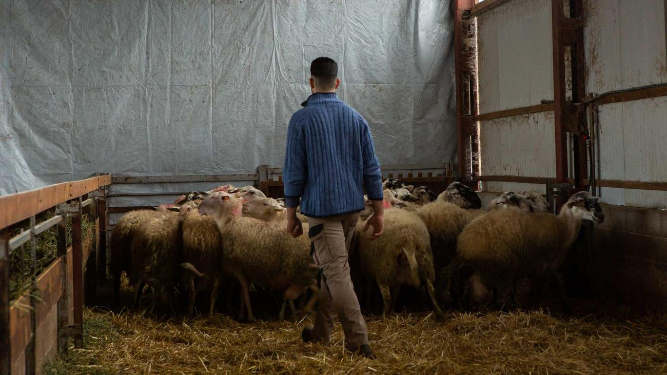 Βεβαίωση εγγραφής στο Μητρώο Αγροτών και Αγροτικών Εκμεταλλεύσεων ...
