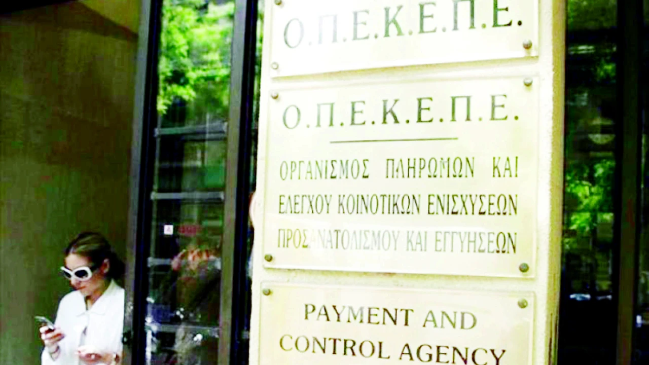 Ανάρτηση - παρέμβαση της Δήμητρας Χαλικιά για τον ΟΠΕΚΕΠΕ - Agro Creta News