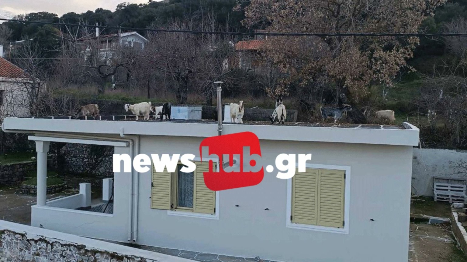 Ο Τσιάρας, η Κρήτη, οι αγρότες και τα … κατσίκια στο σπίτι της ...